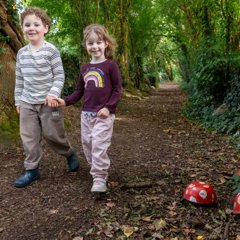 Fun Activities & Things To Do | Glendeer Pet Farm Athlone